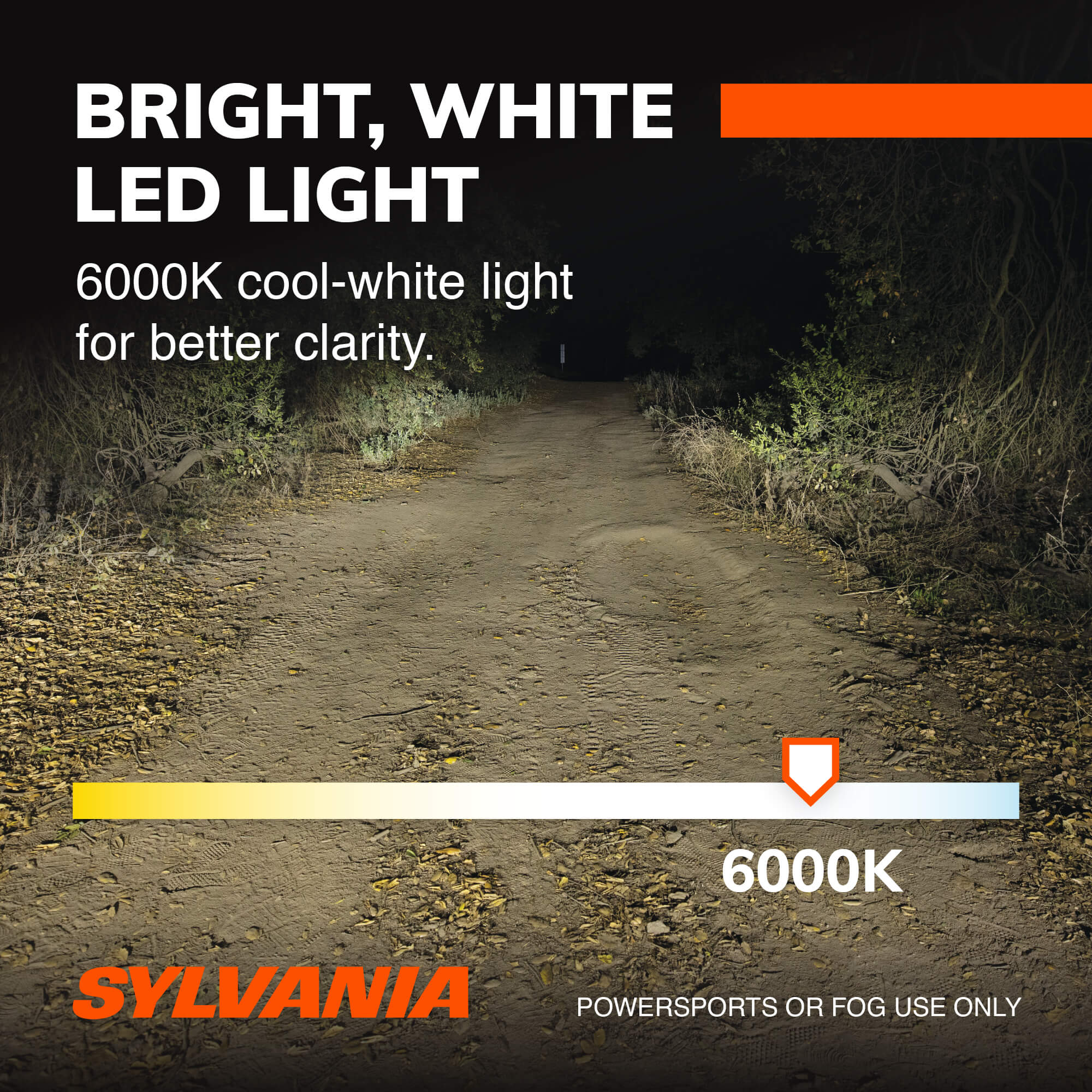 SYLVANIA 9006 LED Fog & Powersports Bulb, 2 Pack