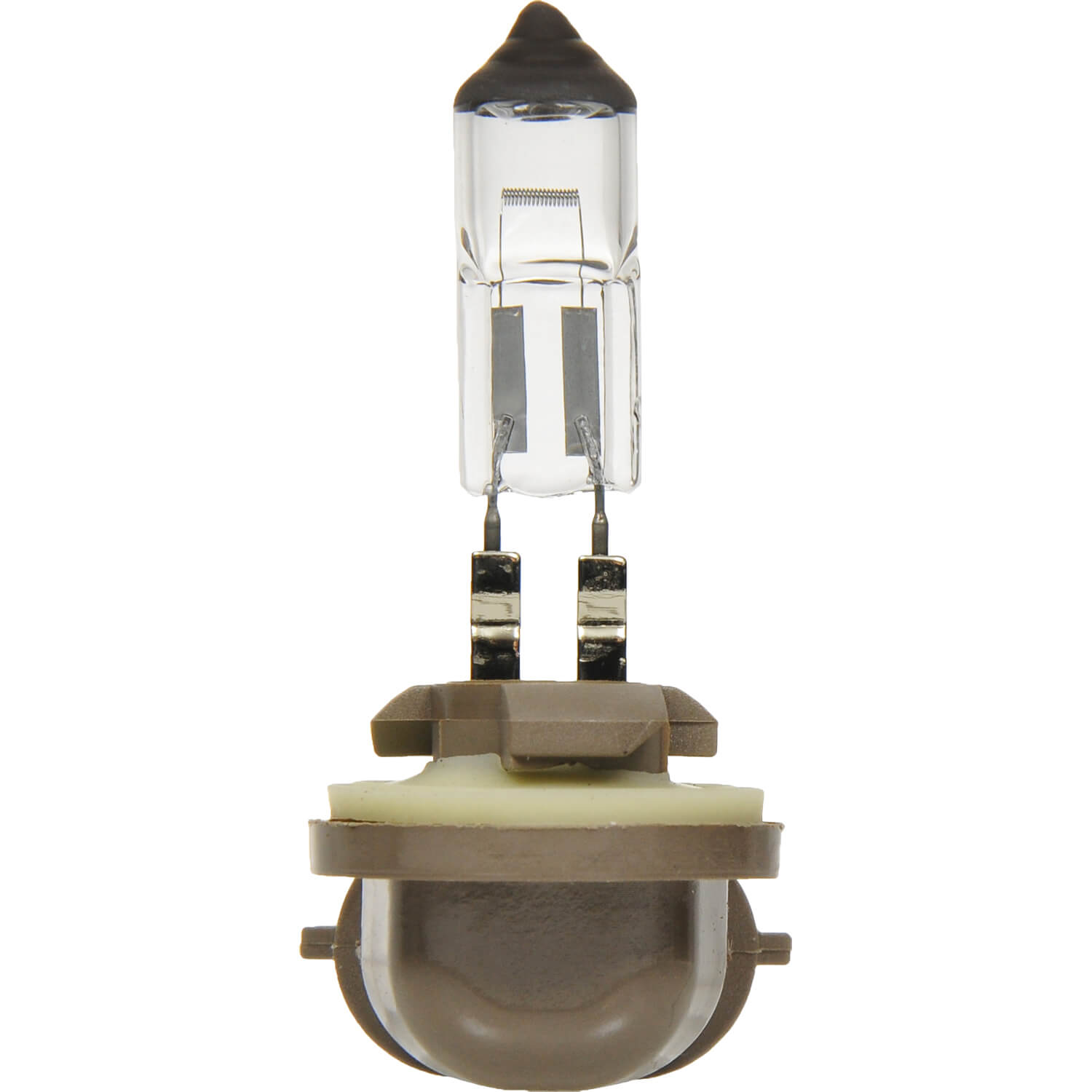 SYLVANIA 896 Basic Fog Bulb, 1 Pack